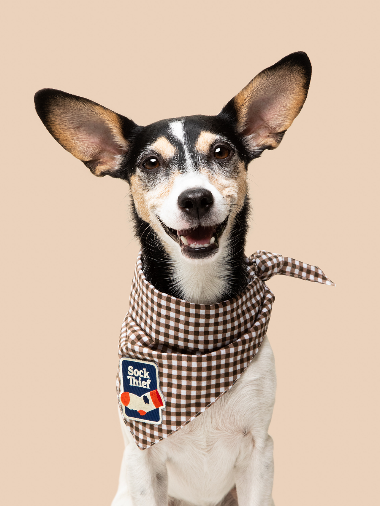 Patches for dogs – Scout's Honour