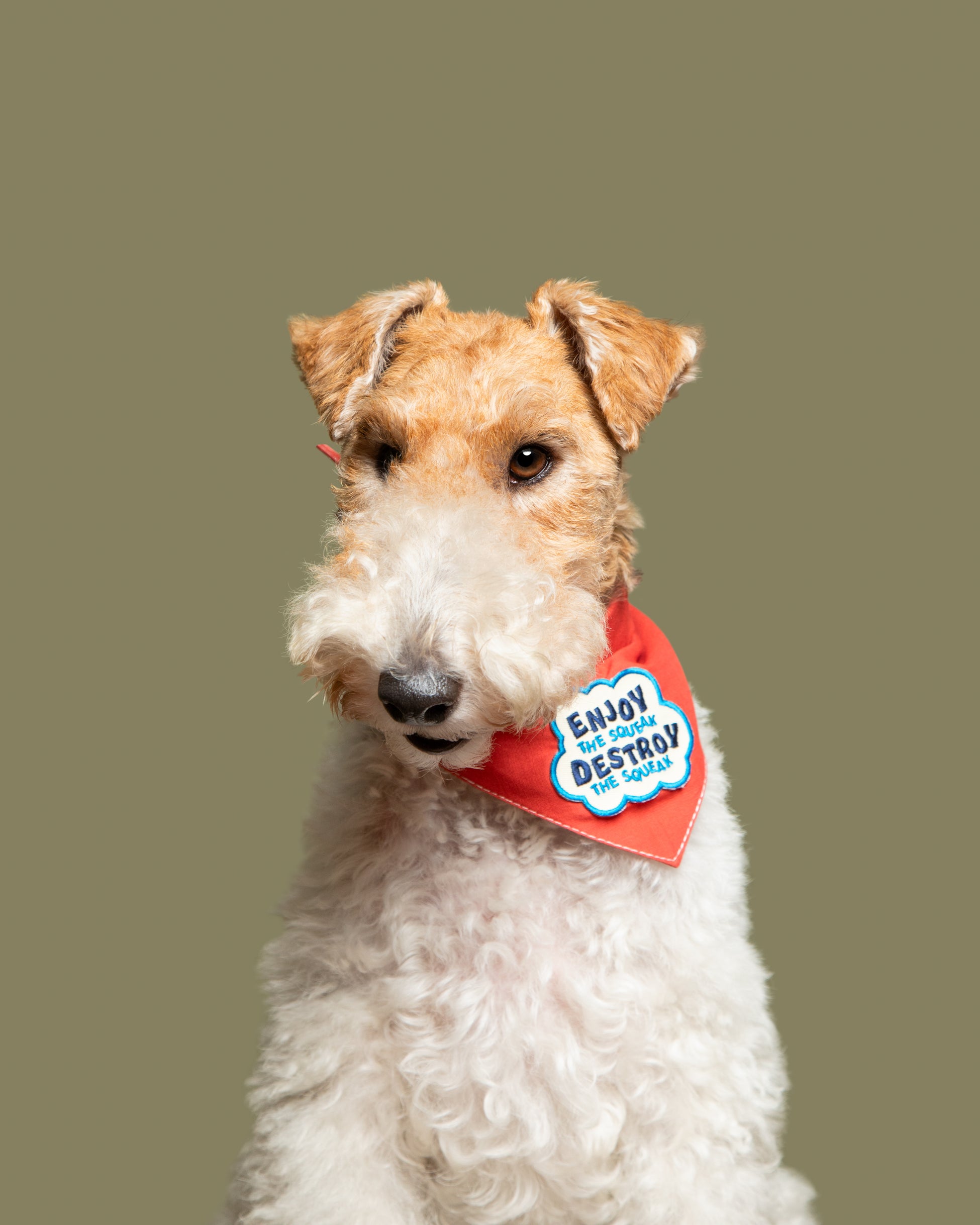 Scout’s Honour Merit badges for dogs – Scout's Honour