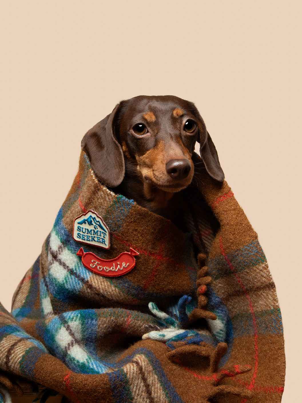 Patches for pets – Scout's Honour